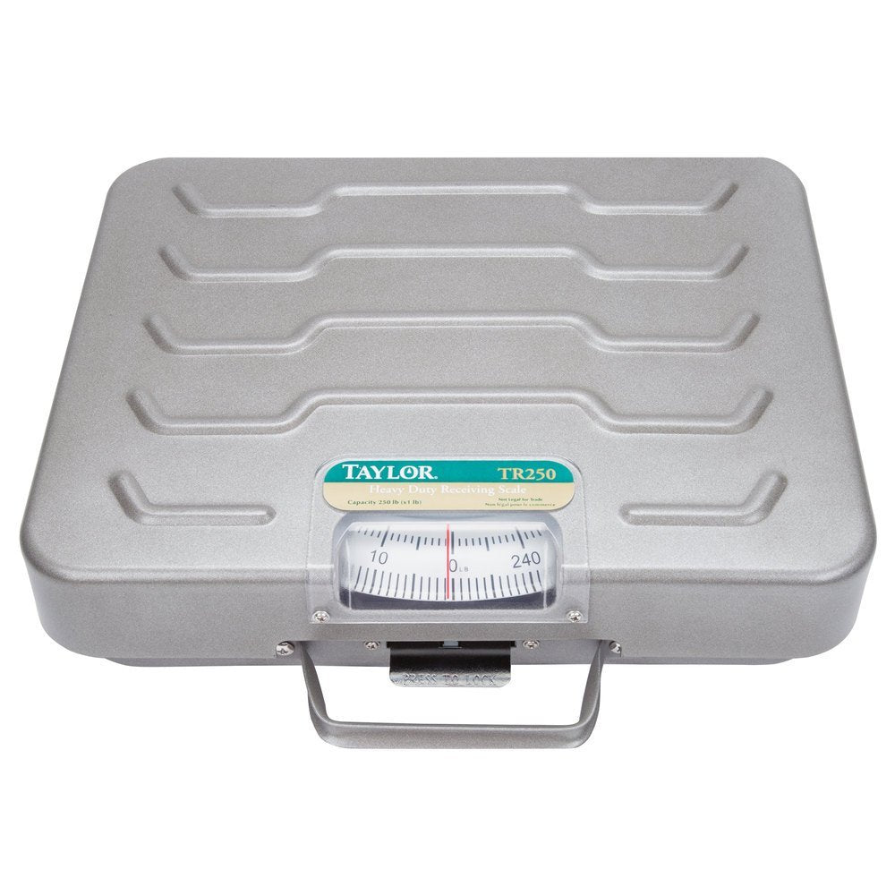 Taylor TR250 Dial Type Scale, 250 lb. x 1 lb. Capacity – Chefs' Toys